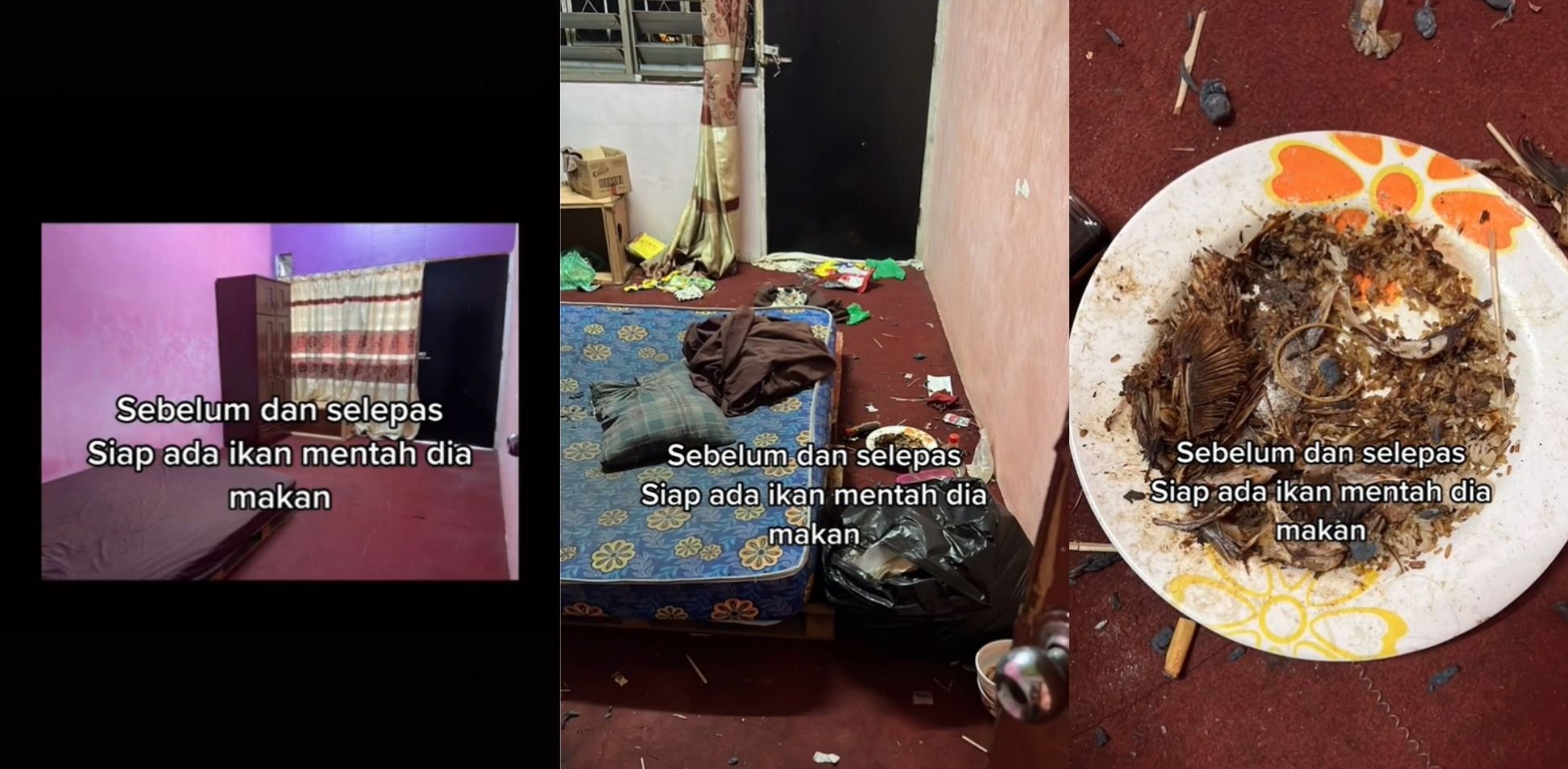 Homeowner In Disbelief After Tenant Leaves Home In Disgusting Condition ...